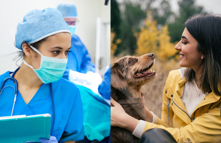 Monument Health - Make a Difference. Every Day.